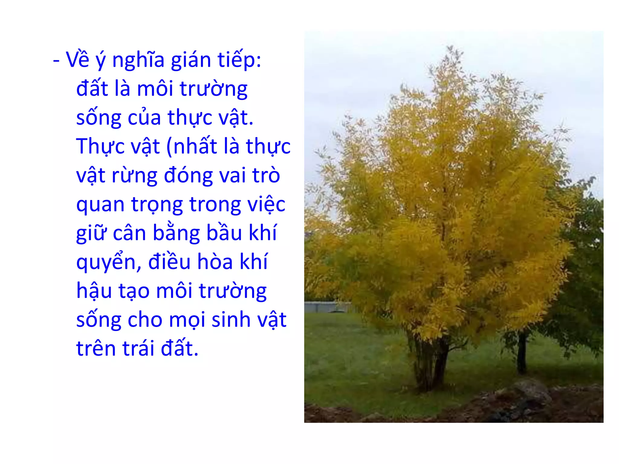 BaI_THUYeT_TRiNH_TaI_NGUYeN_daT_-_NHoM_1.pptx