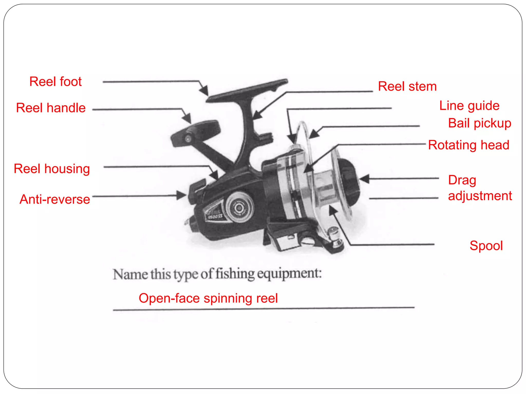 Baitproshop - Important Safety tips for Fishing | PPT