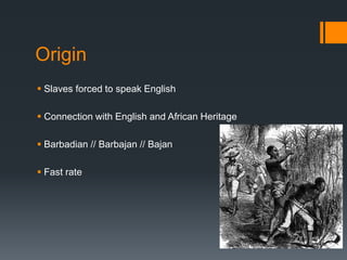 Bajan creole Presentation | PPTX