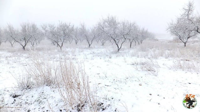 Bajil Y Alrededores (Cueva de la Iglesia/Cueva de los Murcielagos/Barco ...