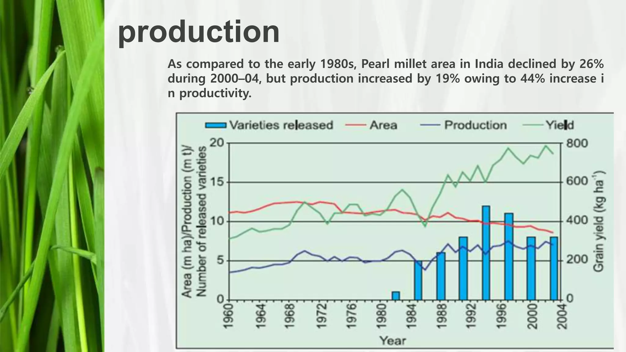 Bajra__revised (1).pptx