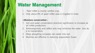 Bajra__revised (1).pptx