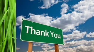 Bajra__revised (1).pptx