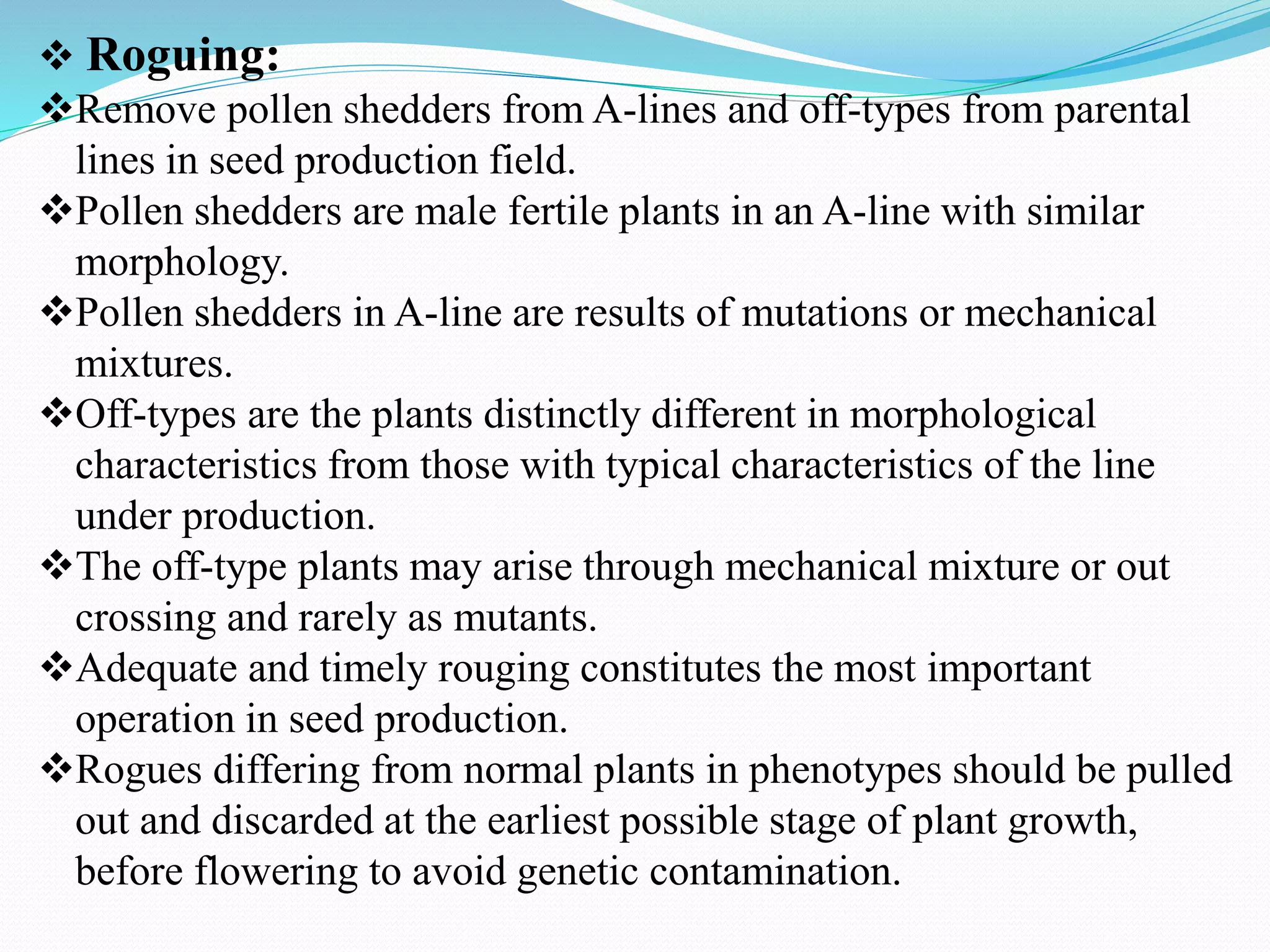 Bajra seed production | PPTX