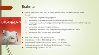 Baka Lembu Pedaging di Malaysia | PPT