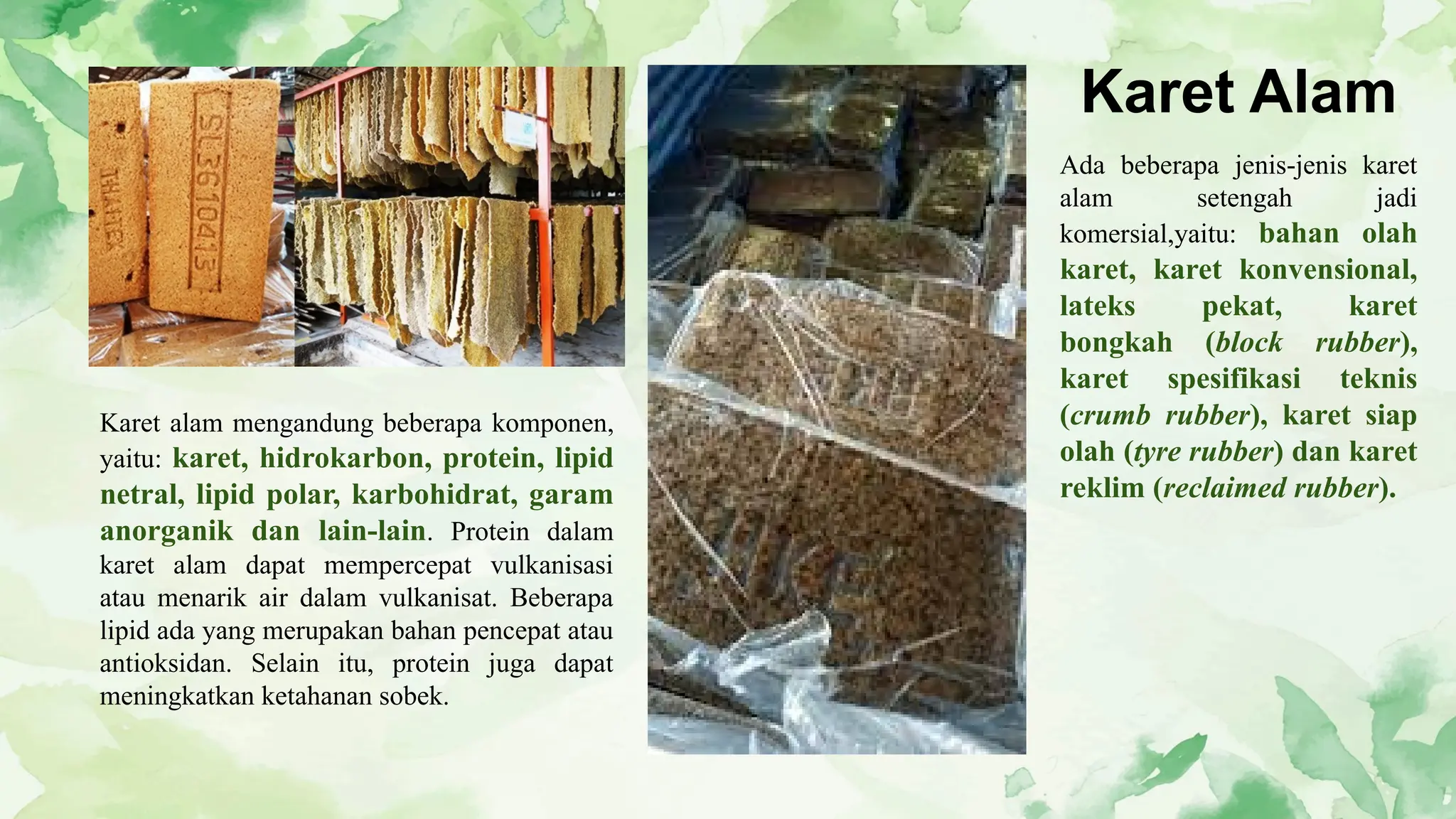 TEKNOLOGI KARET CHAPTER 1 TENTANG LATEKS | PPTX