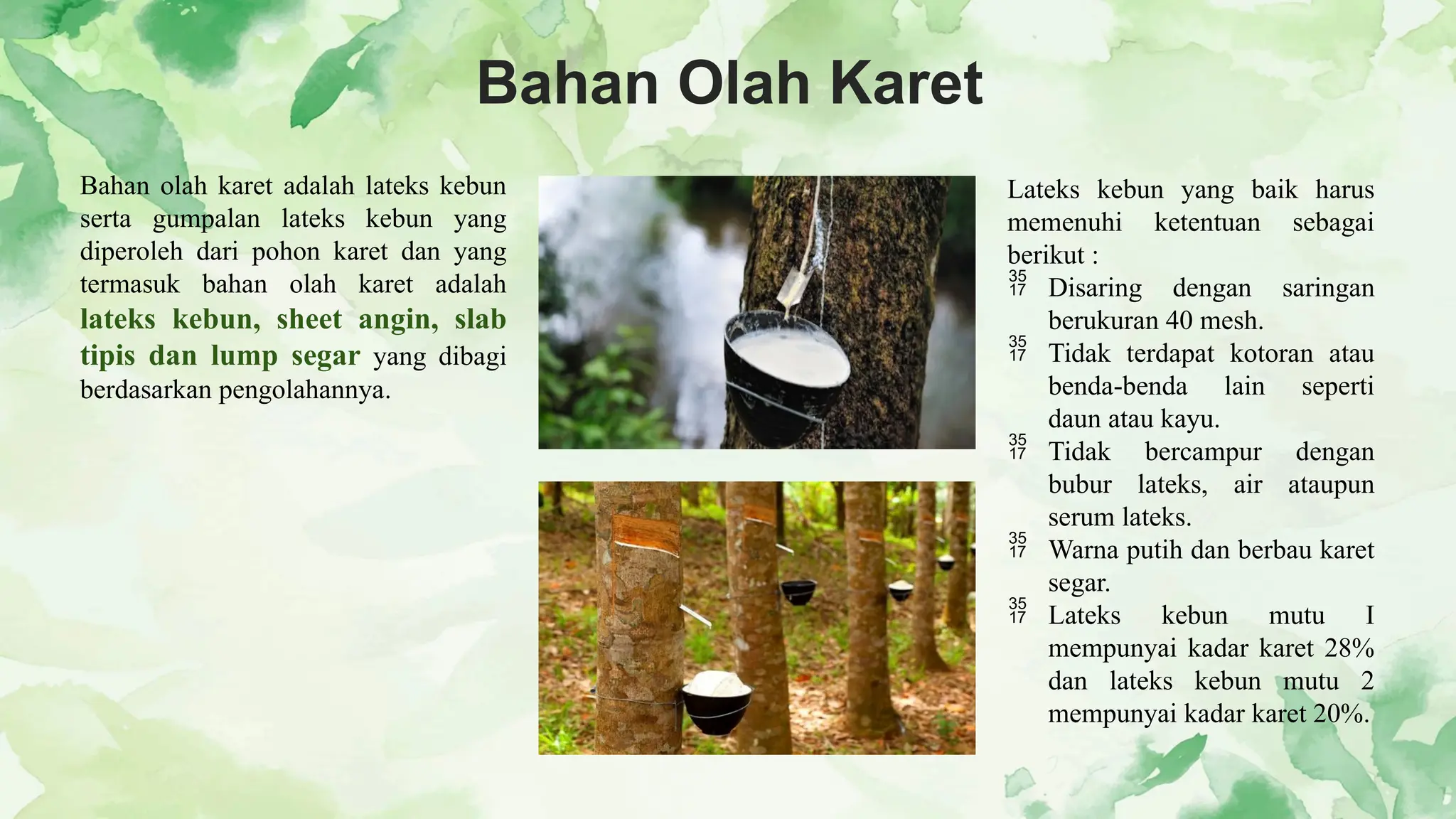 TEKNOLOGI KARET CHAPTER 1 TENTANG LATEKS | PPTX