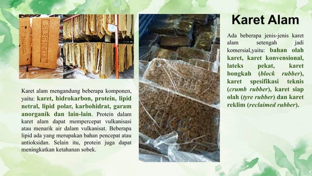 TEKNOLOGI KARET CHAPTER 1 TENTANG LATEKS | PPTX