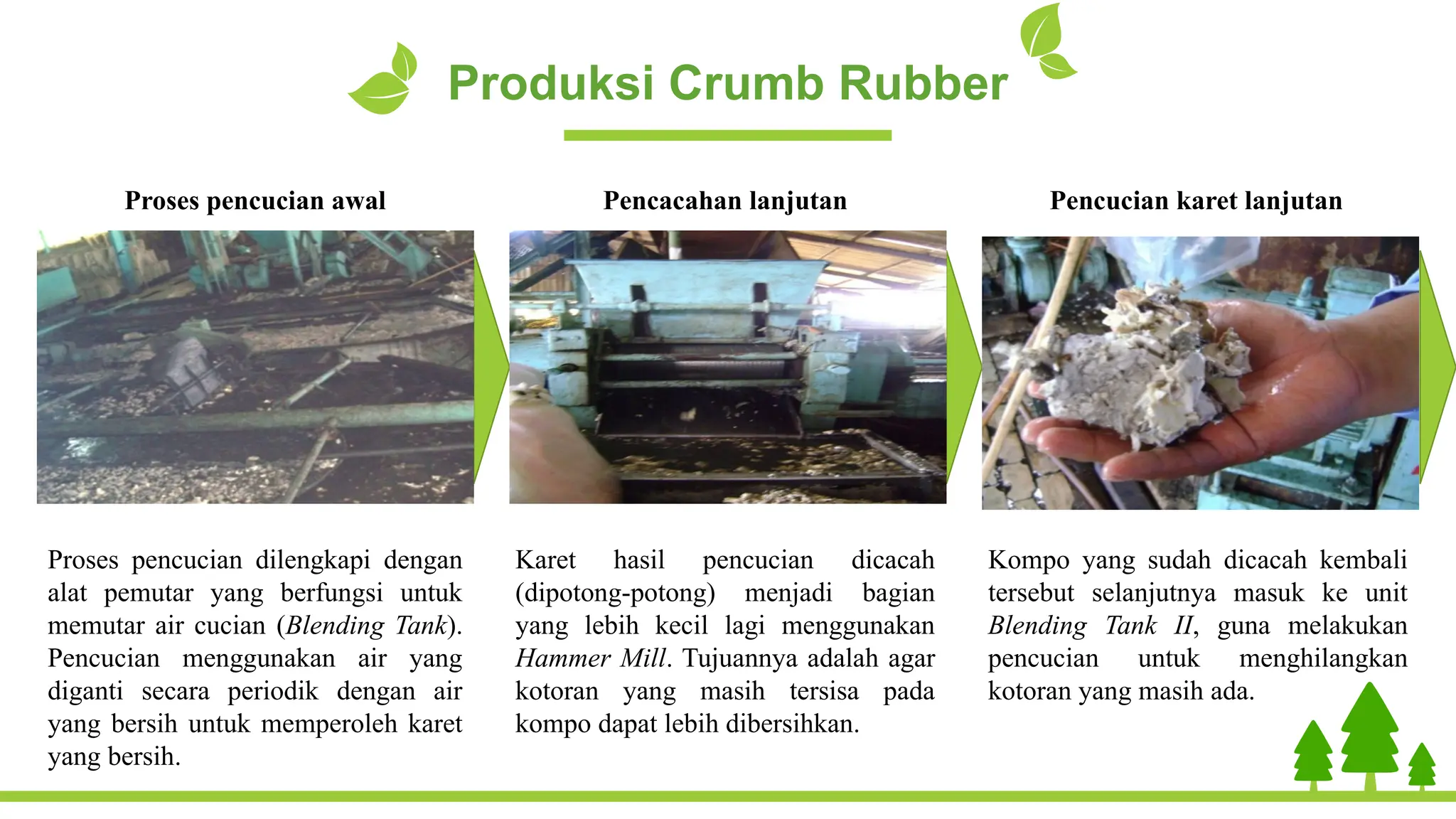 PROSES PRODUKSI LATEKS
