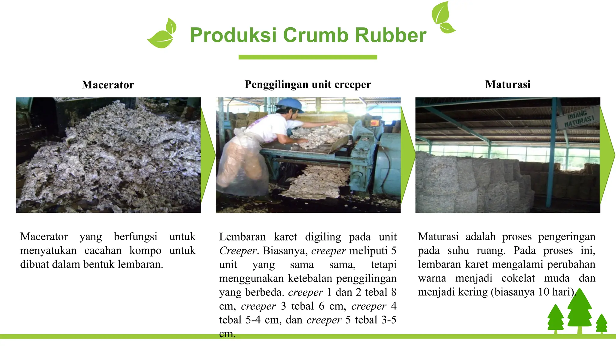 PROSES PRODUKSI LATEKS