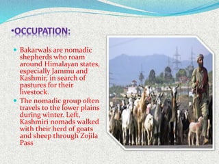 Bakarwal Tribe of Jammu & Kashmir | PPTX