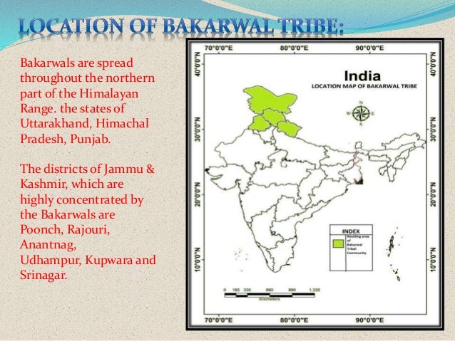 Bakarwal Tribe of Jammu & Kashmir