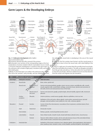 Anatomy for Dental Medicine, 2/e by Baker | PDF | Ear, Nose and Throat ...