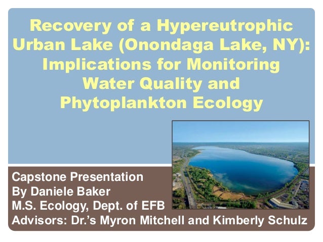 Hypereutrophic Lake
