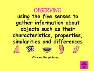 Bakers_scienceprocessskills[1].ppt