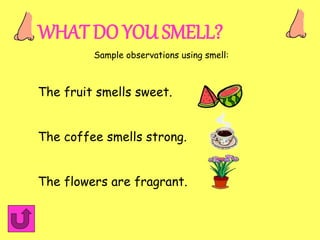 Bakers_scienceprocessskills[1].ppt