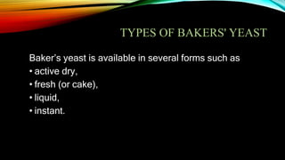 baker's yeast and brewer yeast .pptx