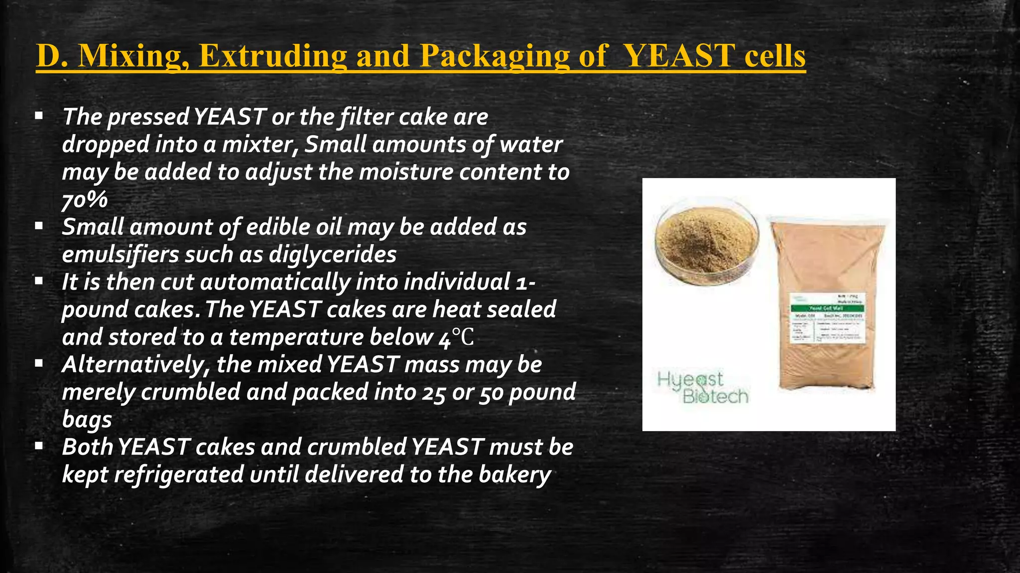 Baker’s Yeast | PPTX