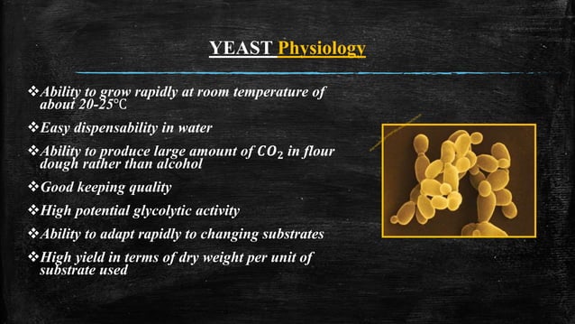 Baker’s Yeast | PPTX