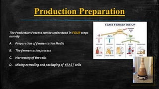Baker’s Yeast | PPTX
