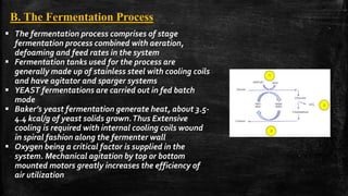 Baker’s Yeast | PPTX