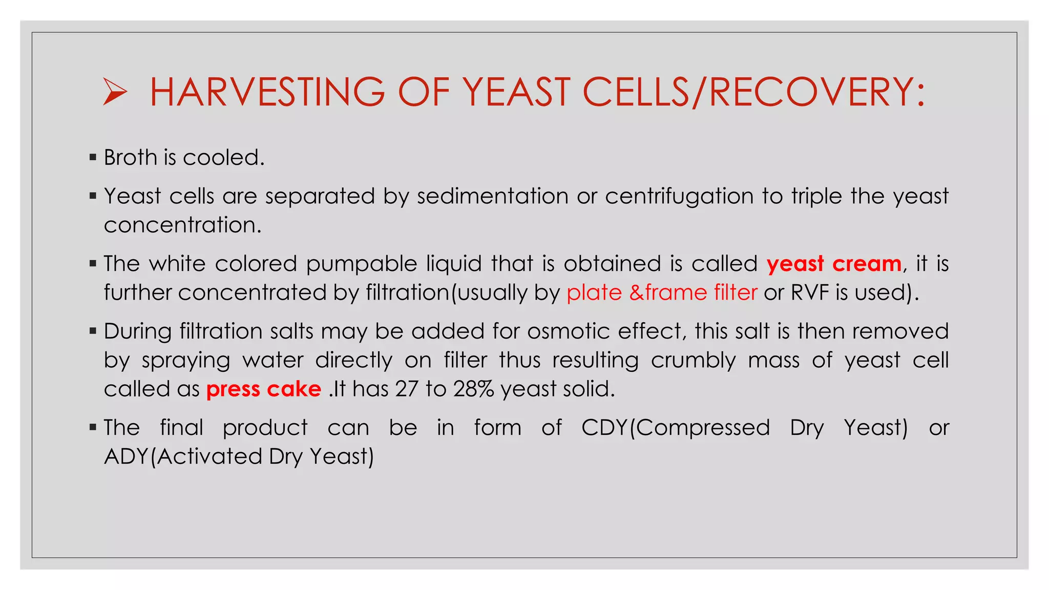 Baker’s yeast production | PDF