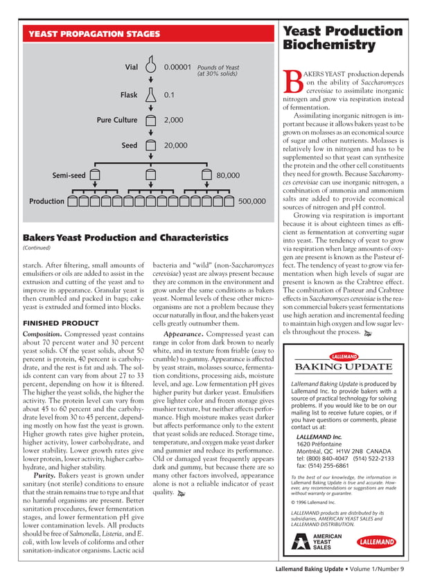 Bakers yeast production and characteristics | PDF | Desserts and Baking ...
