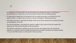 GENE TRANSFER THROUGH EMBRYO MICROINJECTION .pptx