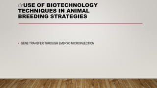 GENE TRANSFER THROUGH EMBRYO MICROINJECTION .pptx