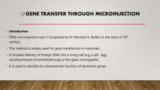 GENE TRANSFER THROUGH EMBRYO MICROINJECTION .pptx