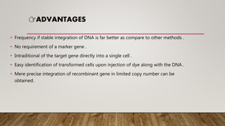 GENE TRANSFER THROUGH EMBRYO MICROINJECTION .pptx