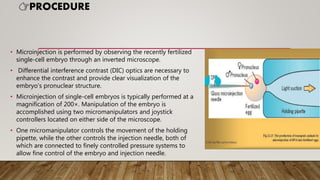 GENE TRANSFER THROUGH EMBRYO MICROINJECTION .pptx