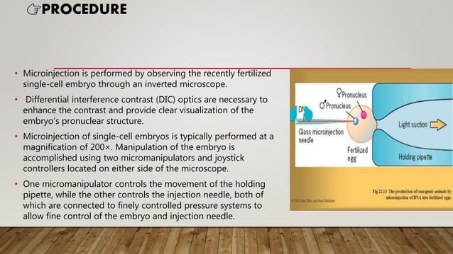 GENE TRANSFER THROUGH EMBRYO MICROINJECTION .pptx | Reproductive Health | Diseases and Conditions