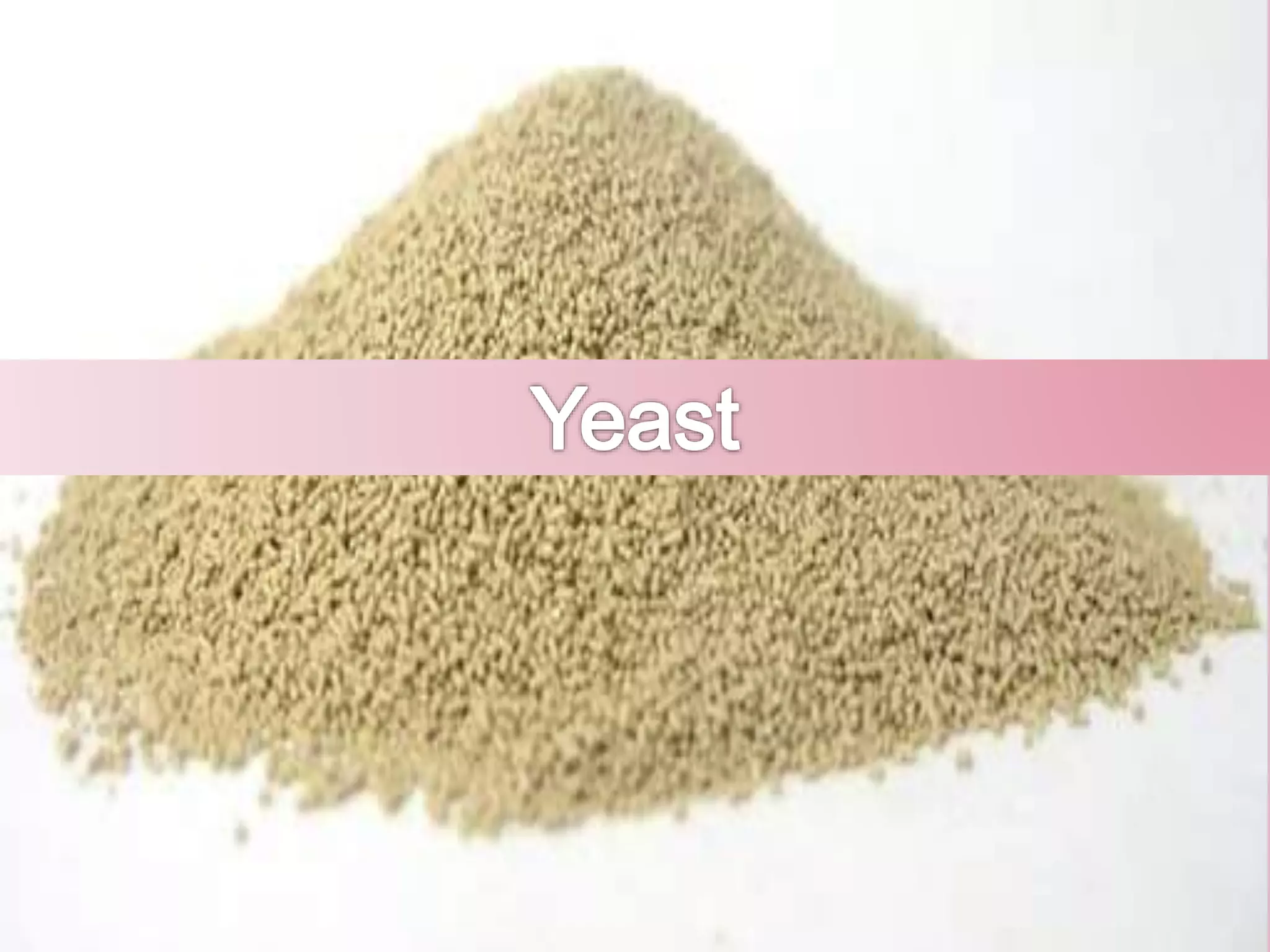 Basic Baking Ingredients and Their Functions | PPTX