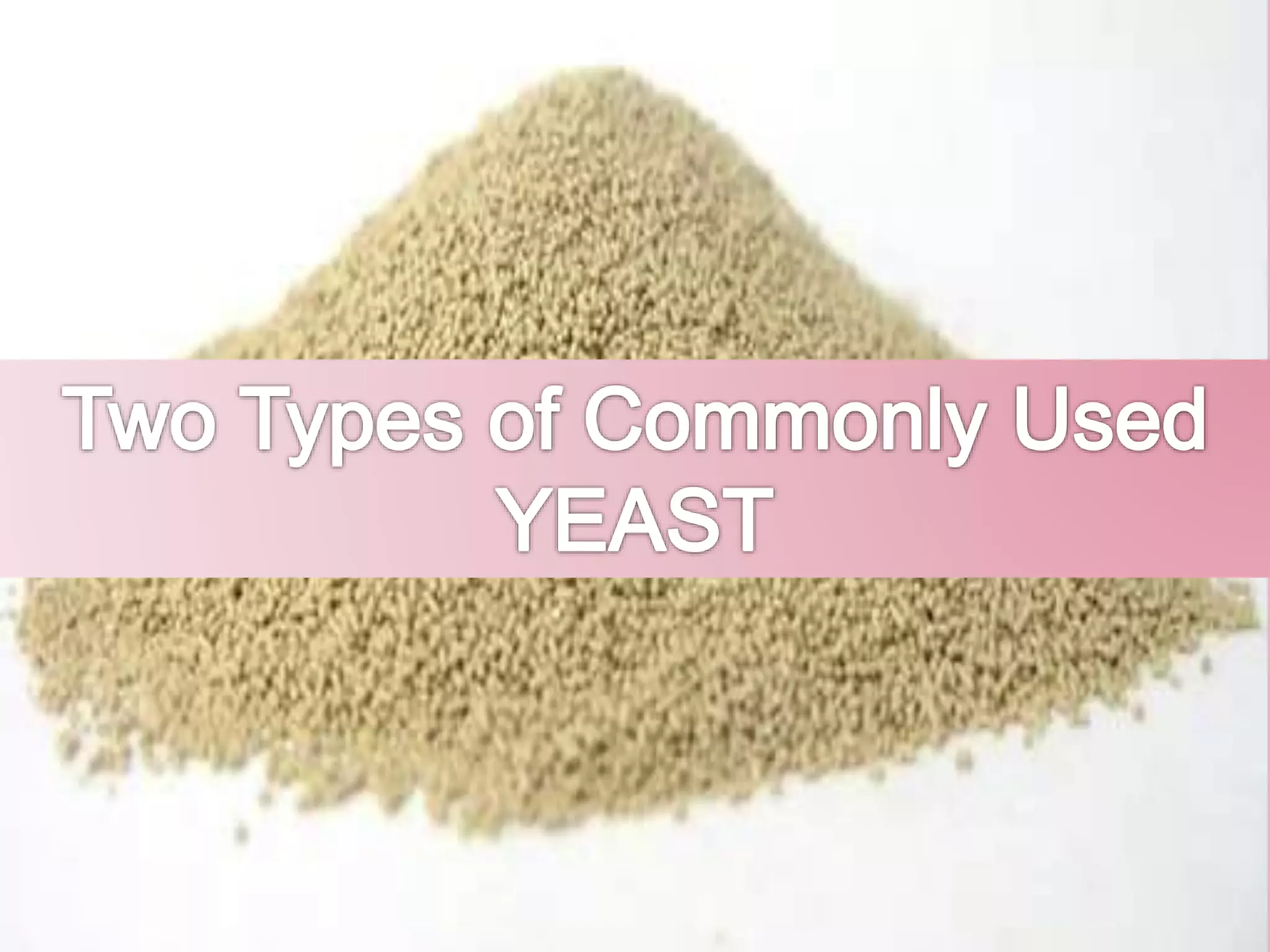 Basic Baking Ingredients and Their Functions | PPTX