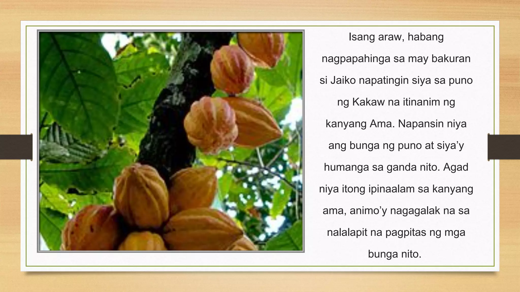 Bakit matamis ang tsokolate | PPT