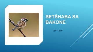 Bakone Presentation (1)..pptx