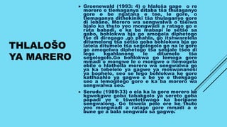 Bakone Presentation (1)..pptx