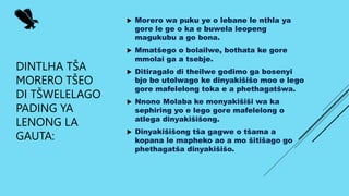 Bakone Presentation (1)..pptx