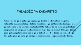 Bakone Presentation (1)..pptx