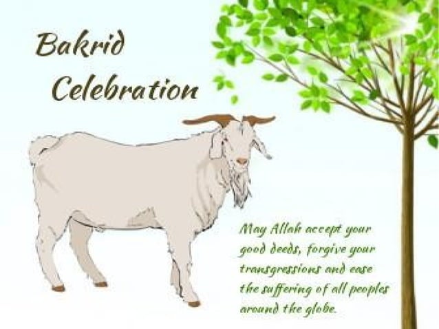 Bakrid celebration 2016 | PPT