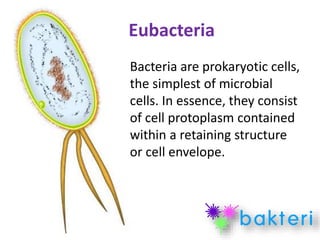Bakteri (Bacteria) | PPT