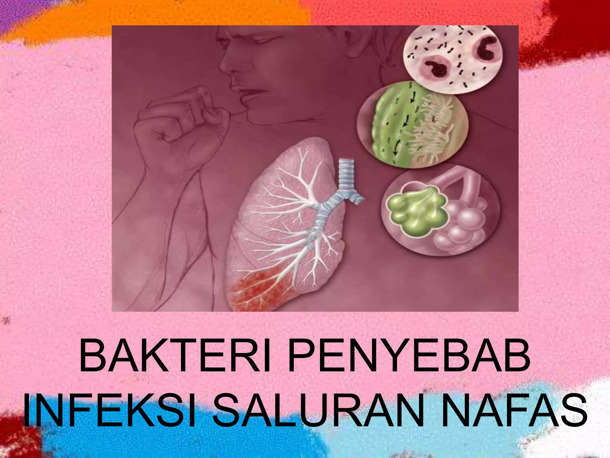 Bakteri Penyebab Infeksi Saluran Nafas | PPTX