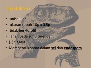 Bakteri | PPT