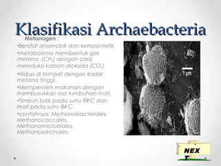 ARCHAEBACTERIA | PPT