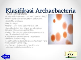 ARCHAEBACTERIA | PPT