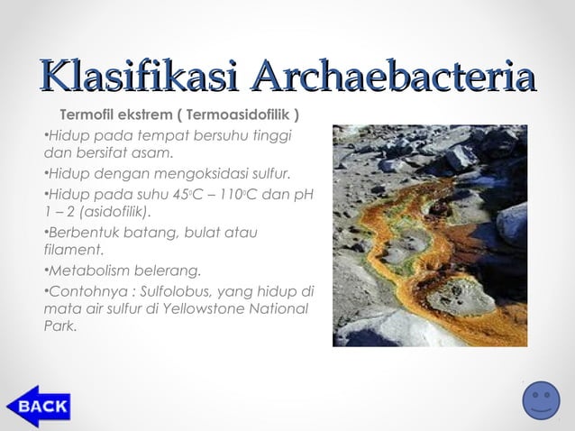 ARCHAEBACTERIA | PPT