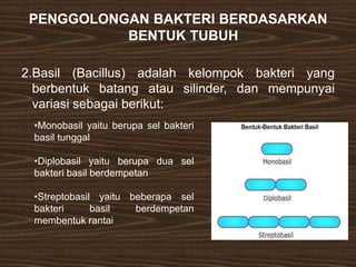 kelompok B bakteri | PPTX