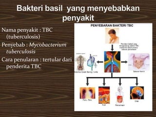 kelompok B bakteri | PPTX