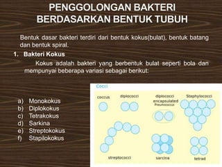 kelompok B bakteri | PPTX